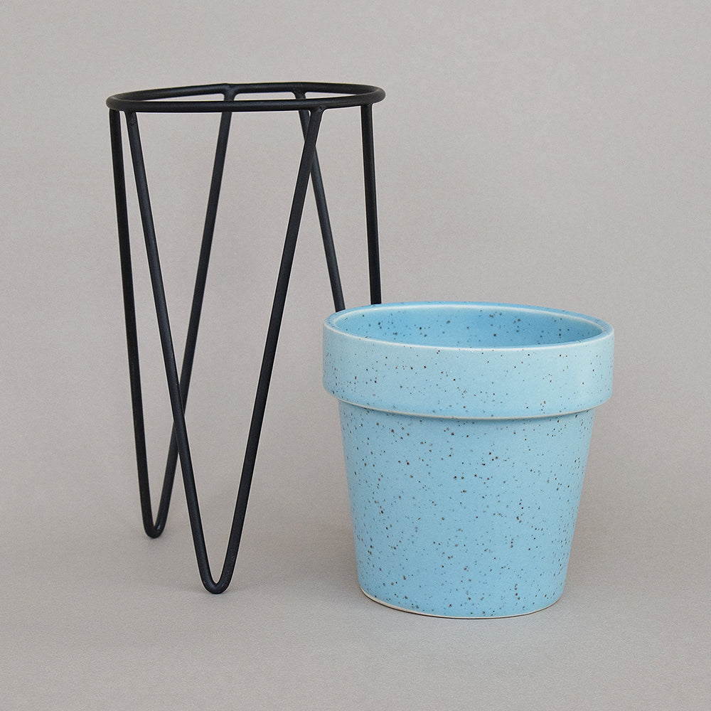 Cuban Blue Planter With Bold Black Stand – The Blooming Bagh