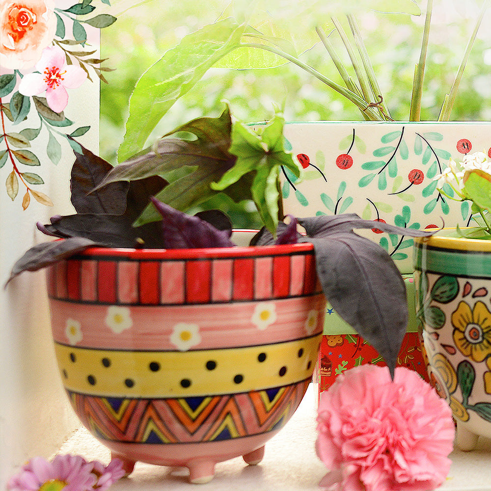 Geometric Coral Red Planter – The Blooming Bagh