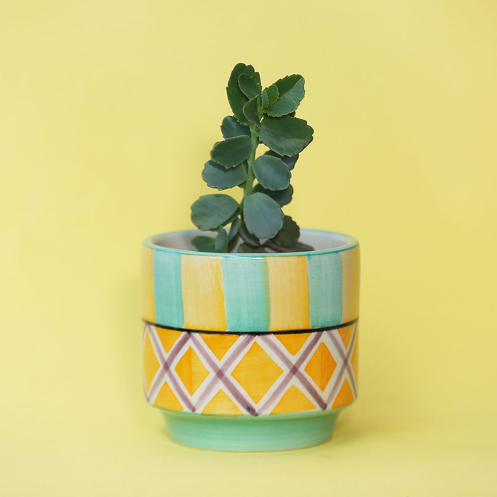Pastel Diamond Planter – The Blooming Bagh